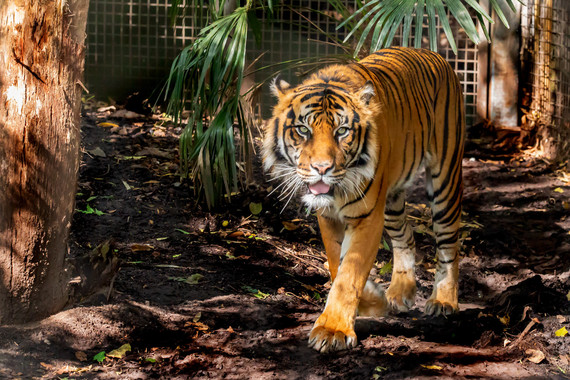 Williamstown Camera Club — Home